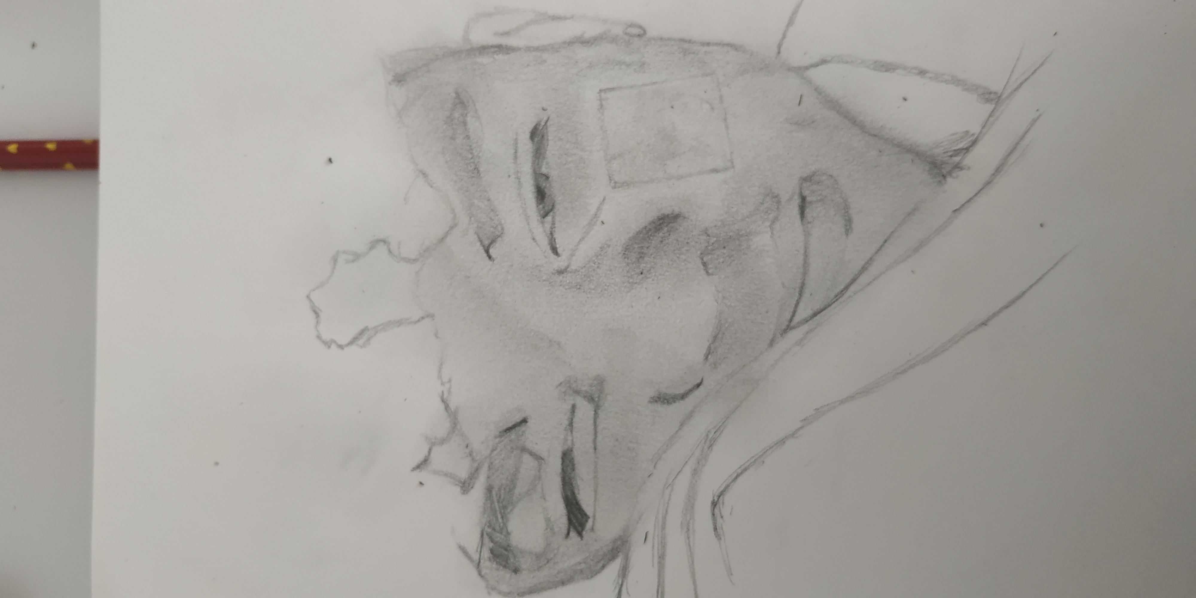 Portrait of Jacob Green / Portrait de Jacob Green